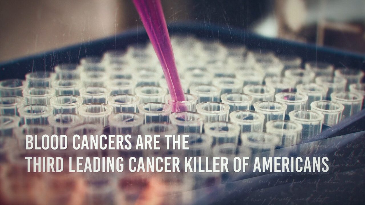 LLS Animated Typography Video | Video Marketing New York