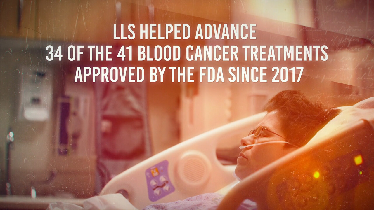 LLS Animated Typography Video | Video Marketing New York